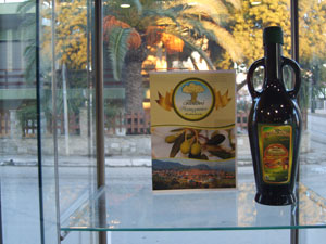 Αγροτικος Συνεταιρισμος Μεταγγιτσίου