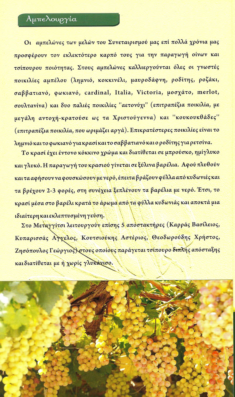 Αγροτικος Συνεταιρισμος Μεταγγιτσίου